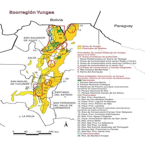 Yungas | PDF