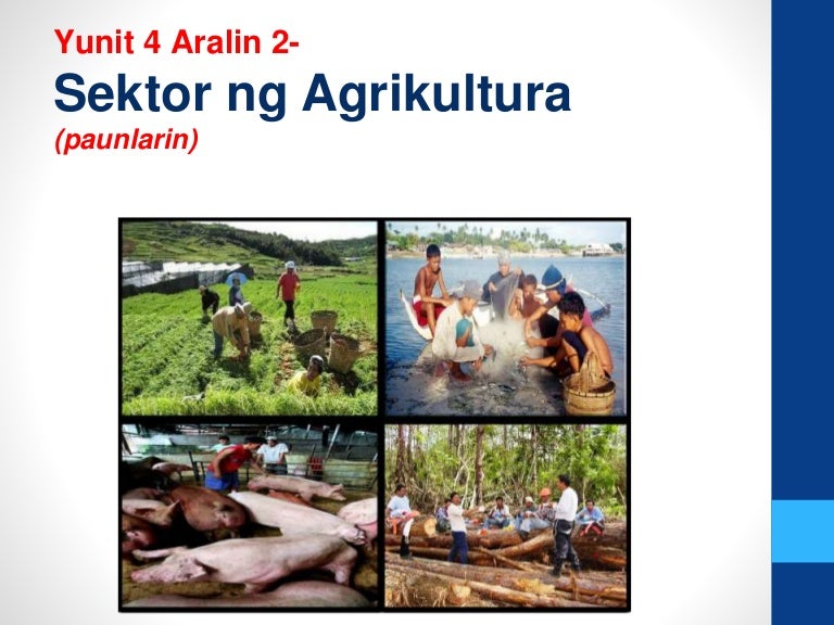 Advocacy Campaign Upang Palakasin Ang Sektor Ng Agrik - vrogue.co Advocacy Campaign Upang Palakasin Ang Sektor Ng Agrik - vrogue.co