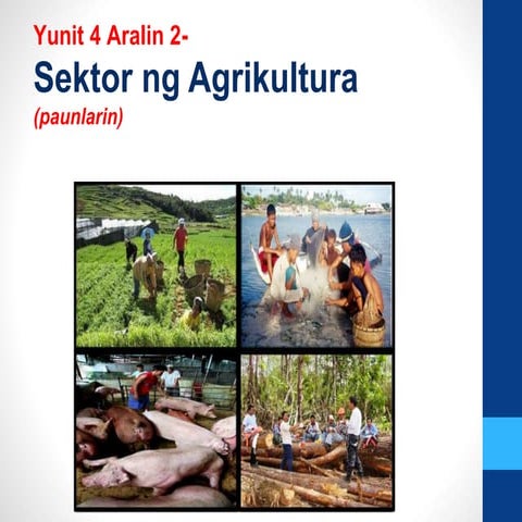 Ang Mga Sektor ng Agrikultura, paghahalaman, paghahayupan, pangugubat ...