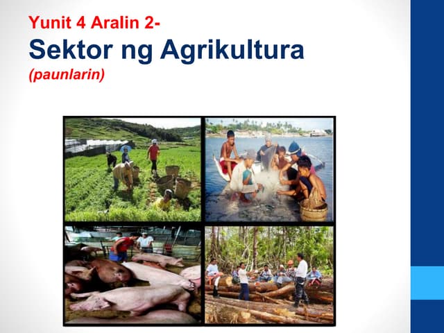 Ang Mga Sektor ng Agrikultura, paghahalaman, paghahayupan, pangugubat ...