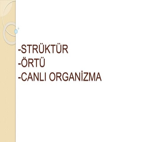 Yunus emre özkan | PPTX