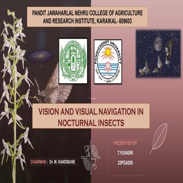 Vision and visual navigation in nocturnal insects | PPT