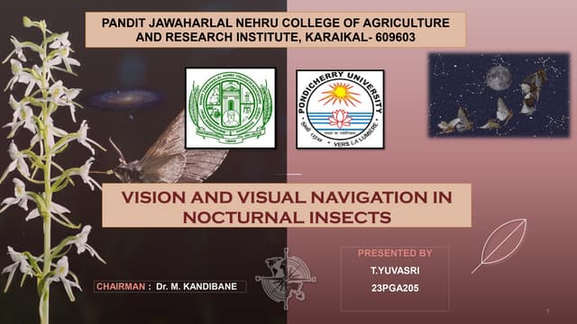 sense organs in insects | PPTX