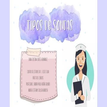 Tipos De Sondas Pdf