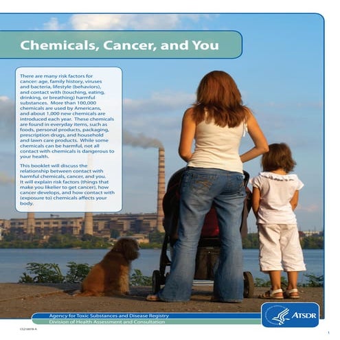 OCCUPATIONAL CANCERS | PPT