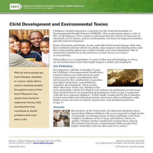 Child Development & Environmental Toxins | PDF