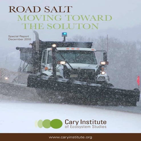 Road Salt - Moving Toward the Solution | PDF
