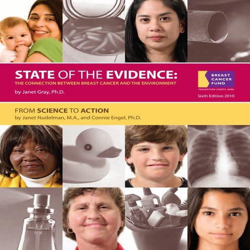 State of the Evidence - The Connection between Breast Cancer & the ...