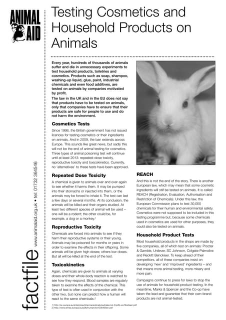Animal testing | PPT | Skin Care | Beauty