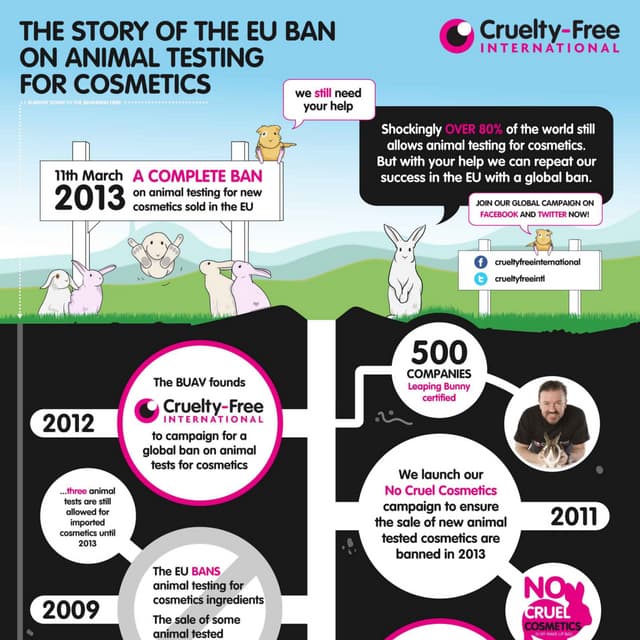 The Story of the European Union Ban on Animal Testing for Cosmetics ...