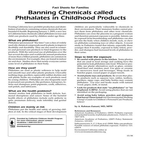 Staying Safe in a Toxic World | PDF