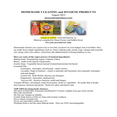 Homemade Cleaning & Hygiene Products - A Guide for Making your own ...