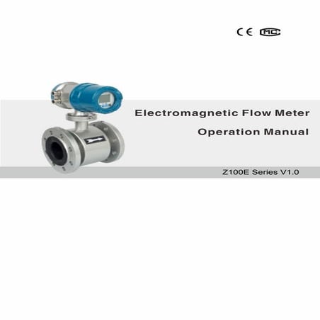 Z100E series eng version magnetic flow meter datasheet | PDF