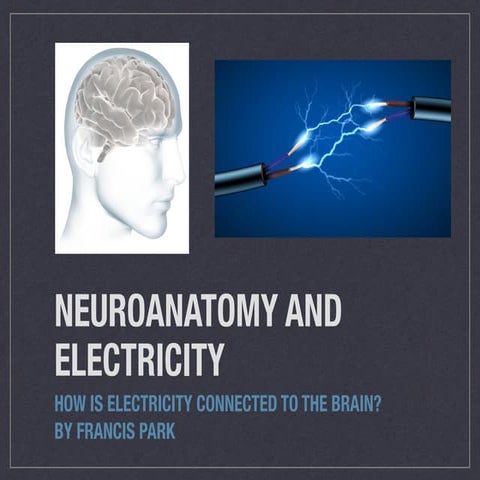 3. Bioelectricity.pptx is about electricity | PPTX