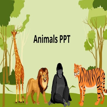 African Animals | PPT