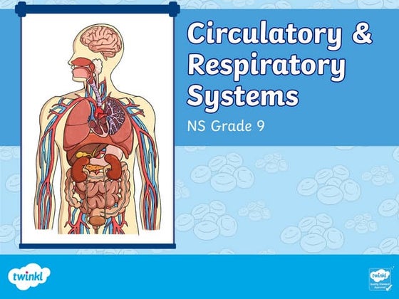 Pulmonary and systemic circulation | PPSX