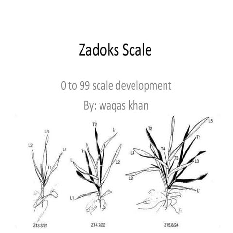 Zadoks Scale or system for plant growth | PPTX