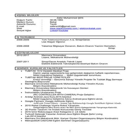 ZAFER M.SEN CV | PDF