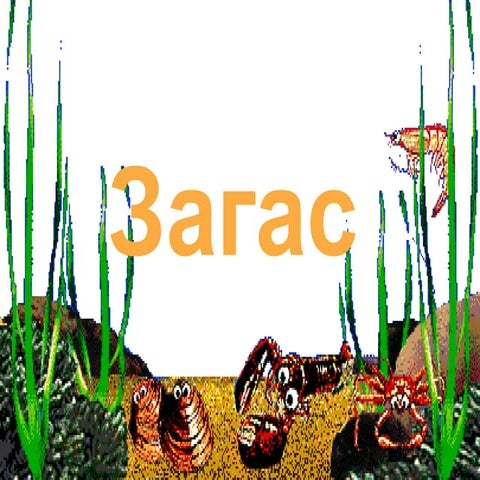 Zagas | PPT