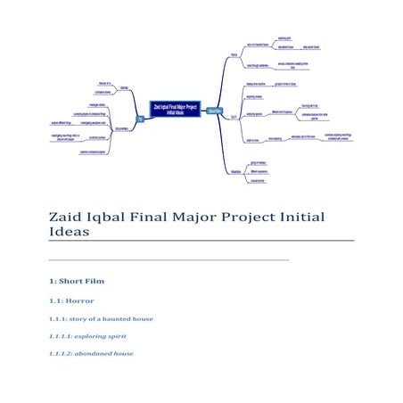 Zaid iqbal final major project initial ideas | DOC