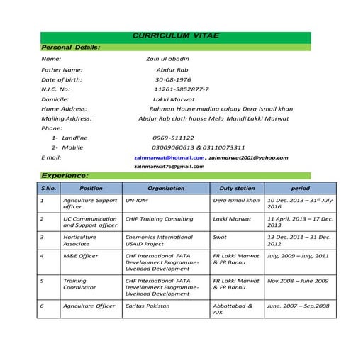 Z aini cv | DOCX
