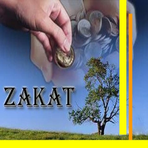 bab membahas tentang ibadah zakat.pptx