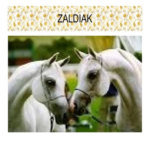 Zaldia deskripzioa | ODP