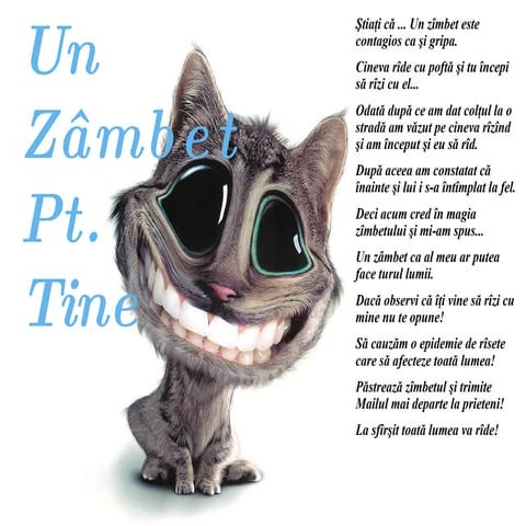 Zambet | PPS