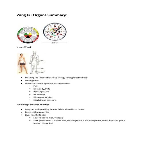 Zang fu organs summary | DOCX