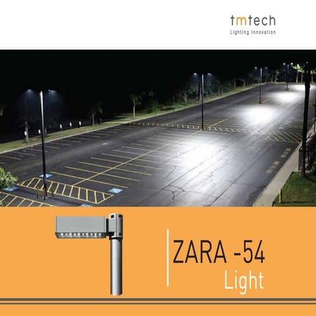 Zara 54 Light - Street LED Light | PPT