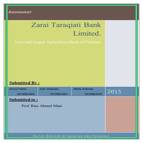ZTBL Internship report | PDF