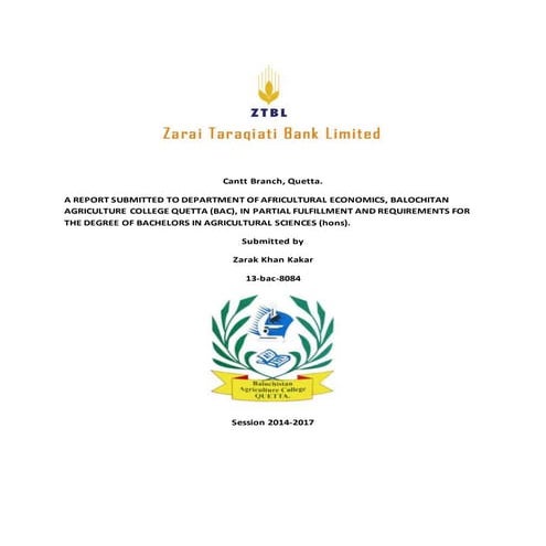 ZTBL Internship report | PDF