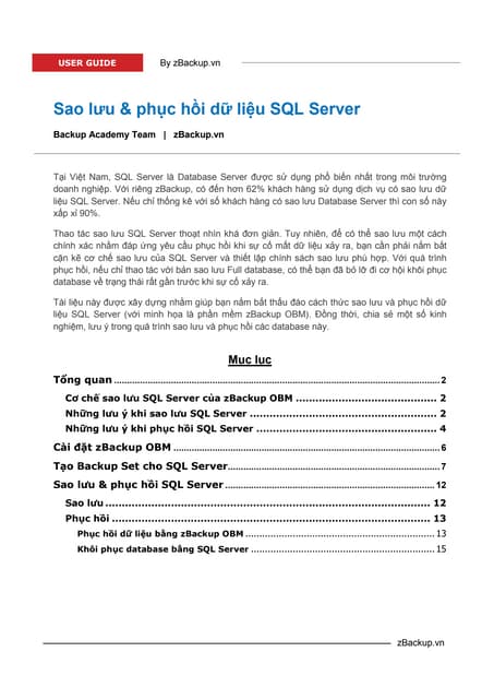Sao Lưu And Phục Hồi Database Sql Server Zbackupvn