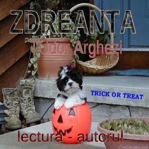 Zdreanta Tudor Arghezi | PPS