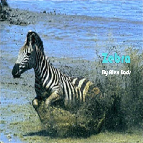 Zebra | PPT