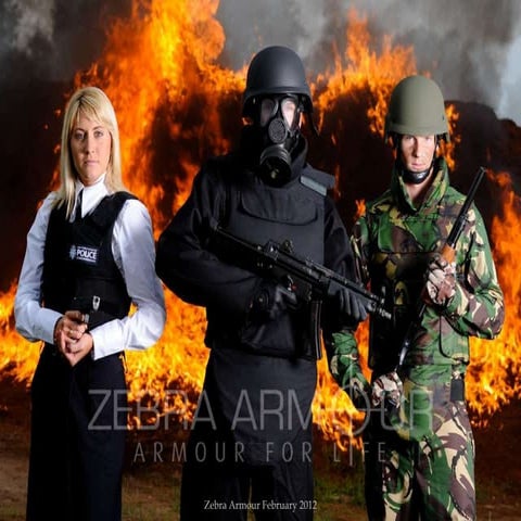 Zebra Armour Presentation 1 | PPTX