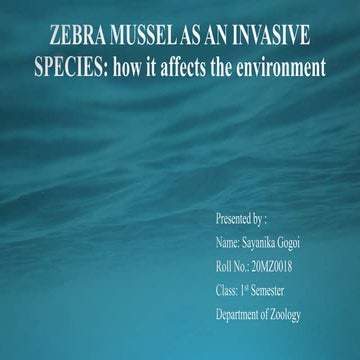 Zebra mussel.pptxcelia | PPTX