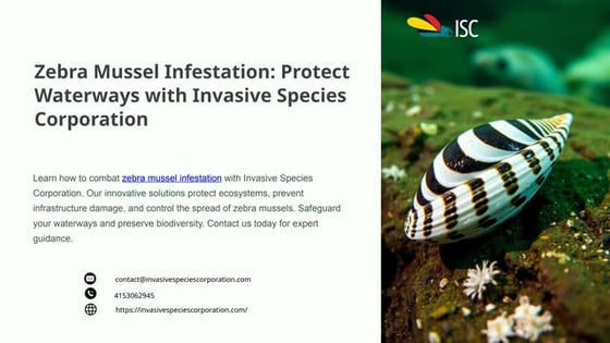 Invasive Mussels Prevention and Control Solutions by Invasive Species ...