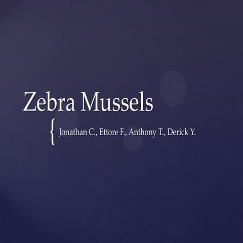 Zebra mussels | PPTX