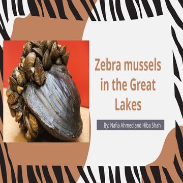 Zebra mussels in the great lake presentation AP environmental .pptx
