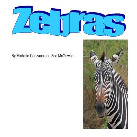 Zebras | PPT