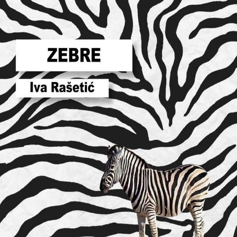 Zebre | PPTX
