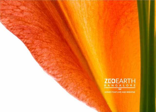 SOS VILLAGE JORDAN | PPTX