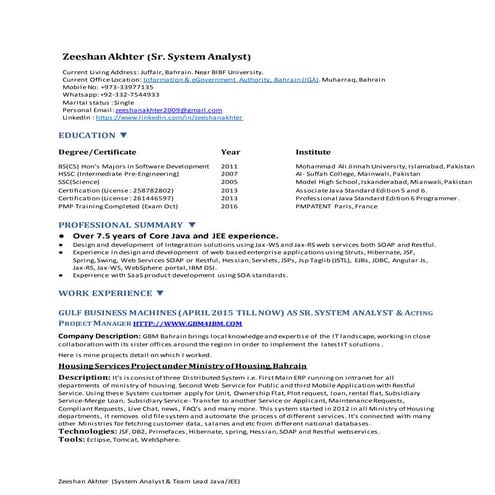 Zeeshan akhter(cv) | DOCX