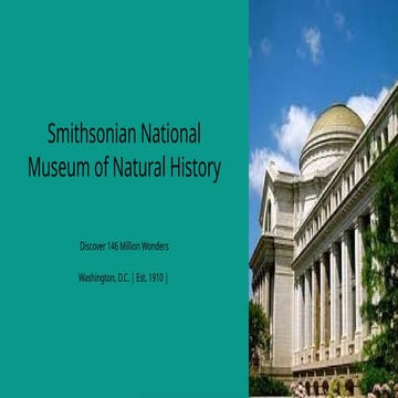National Museum Of Natural History Smithsonian Teacher's Sheet | PDF