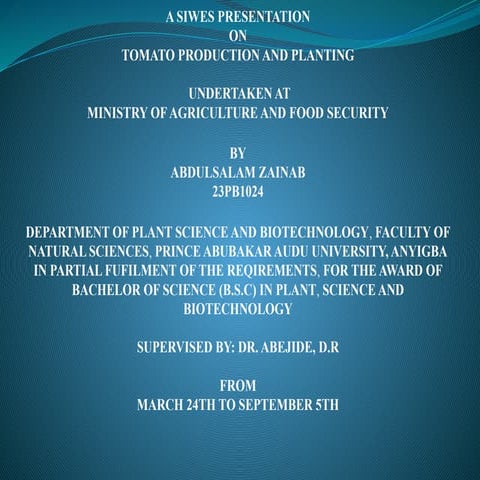 PROCEDURE FOR THE PRODUCTION OF BELL PEPPER IN A GREENHOUSE | PDF