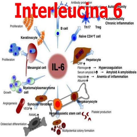 interleucina 6 | PPTX