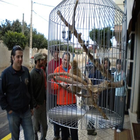 Zegzel Experience | PPT