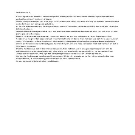 Zelfreflectie 2 | DOCX