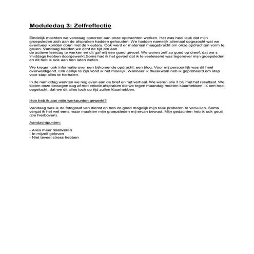 Zelfreflectie 3 | DOCX
